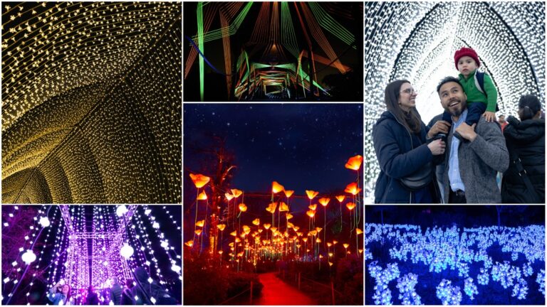 Internationally Acclaimed Lightscape Returns to San Diego Botanic ...