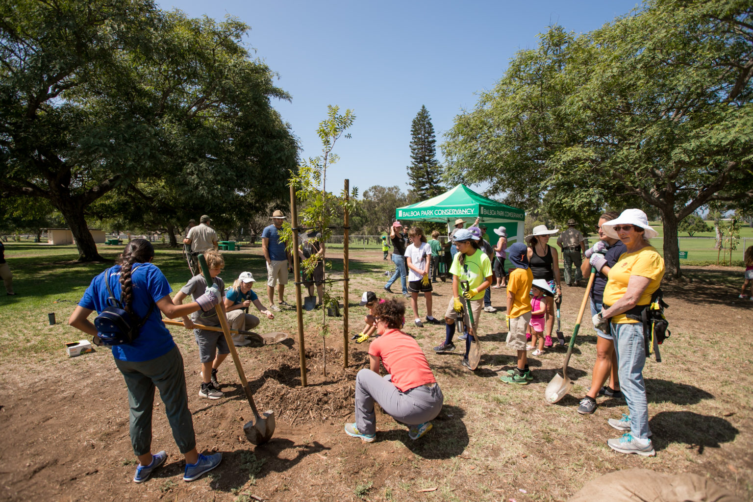 Kate Sessions Birthday Celebration in Balboa Park Invites Tree Lovers ...